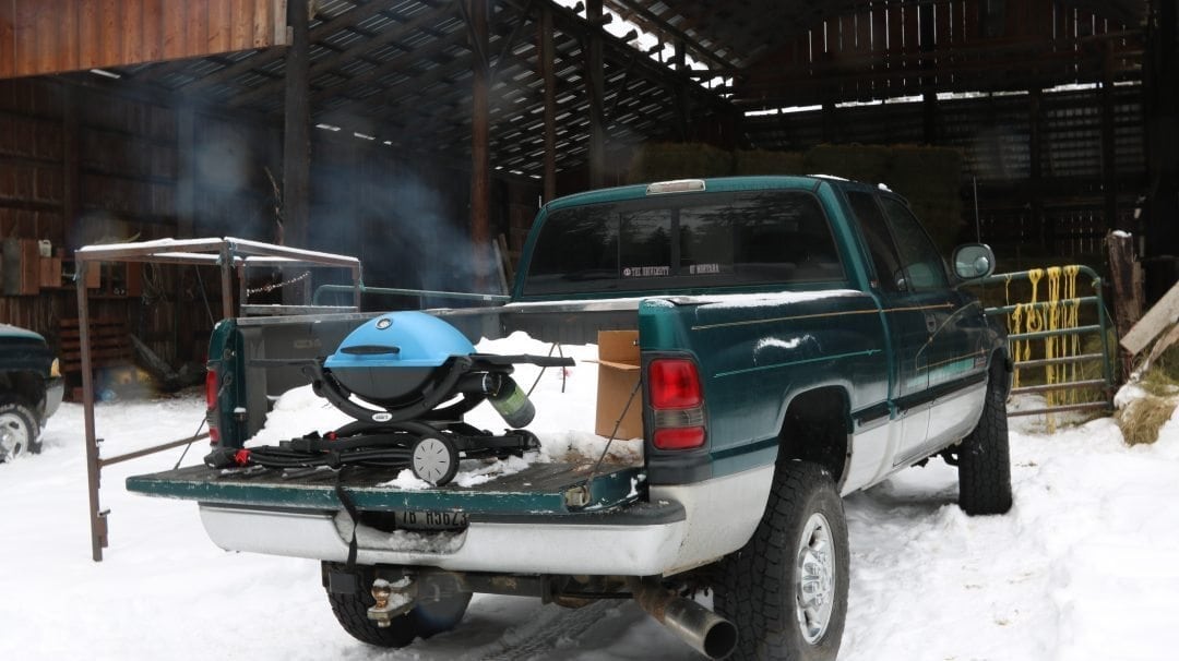 Working cattle in the winter and grilling in the snow