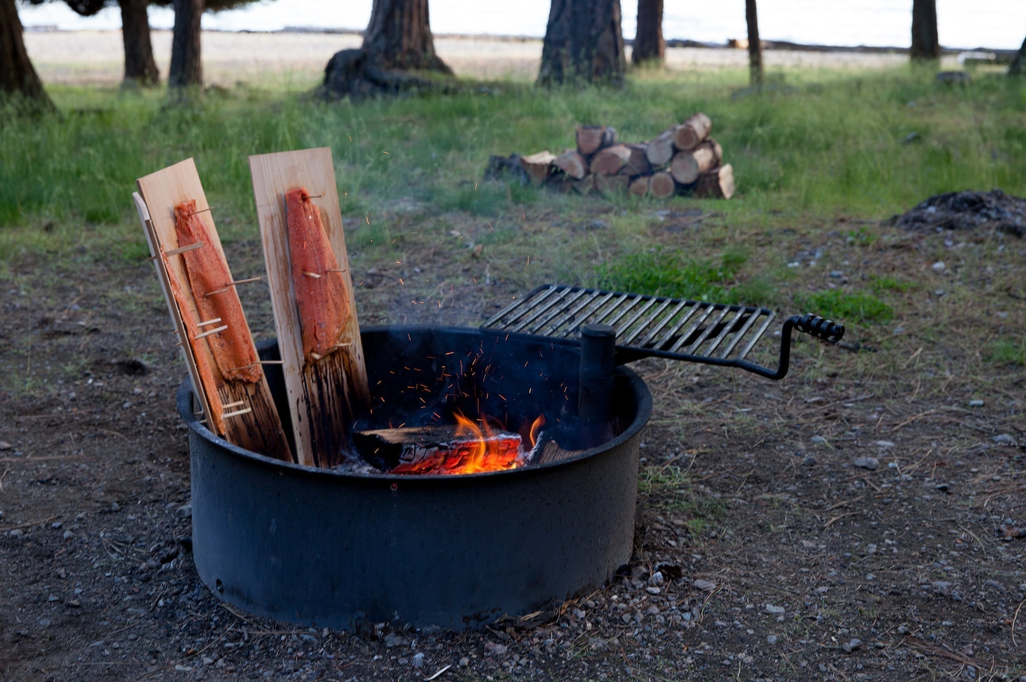 Why Cook Salmon on a Cedar Plank? | Wildwood Grilling